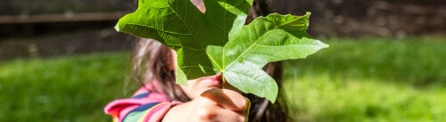 Why environmental responsibility is important and what we will ask you.